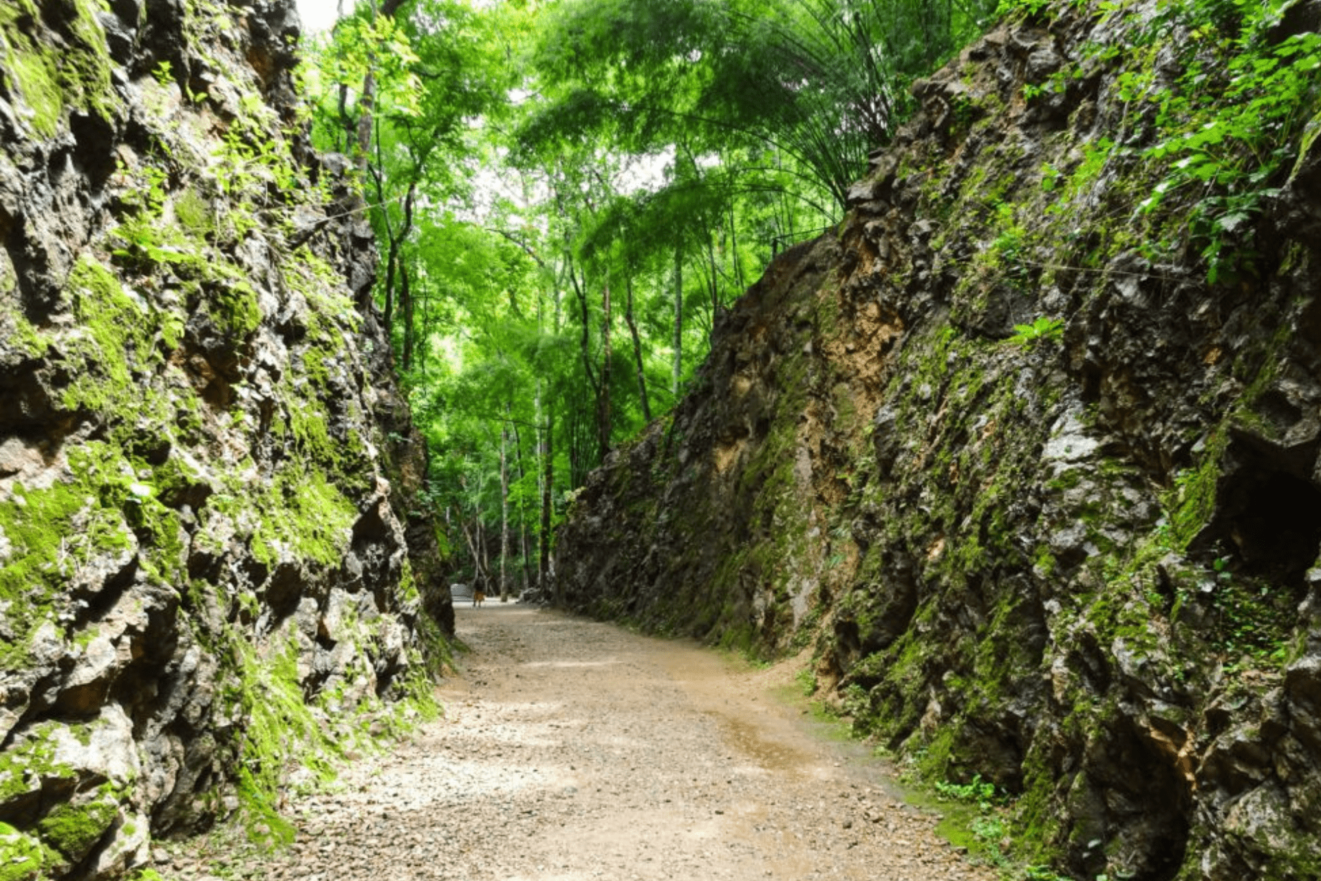 Hellfire Pass: A Walk Through Memory – Rain, Rice & Retirement